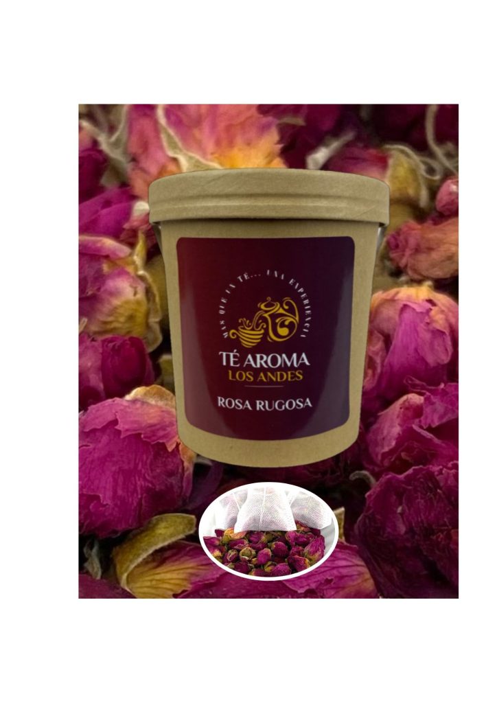 Rosa Rugosa - Te Aroma Los Andes